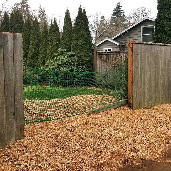 Stump Removal Service - Salem, Oregon | Corvallis | Albany | Jacob’s ...