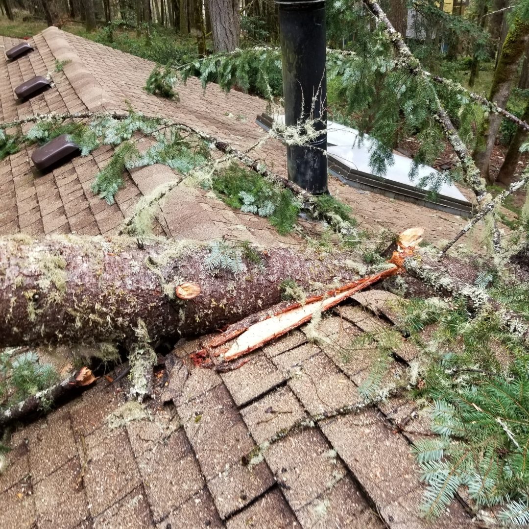 Ground saturation and wind create dangerous conditions | Jacob’s Ladder ...